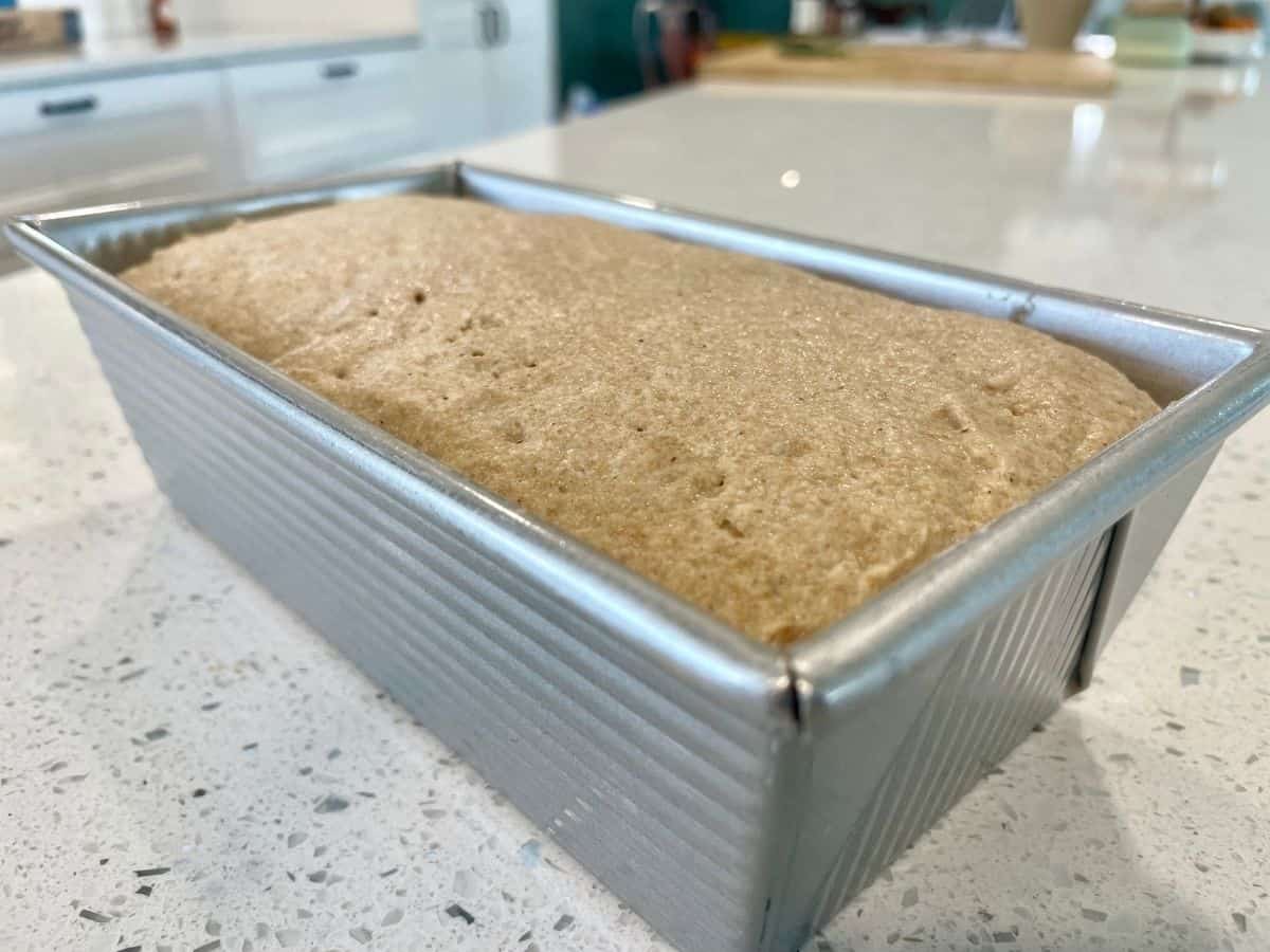 Whole Grain Einkorn Sourdough Bread - Grant Bakes