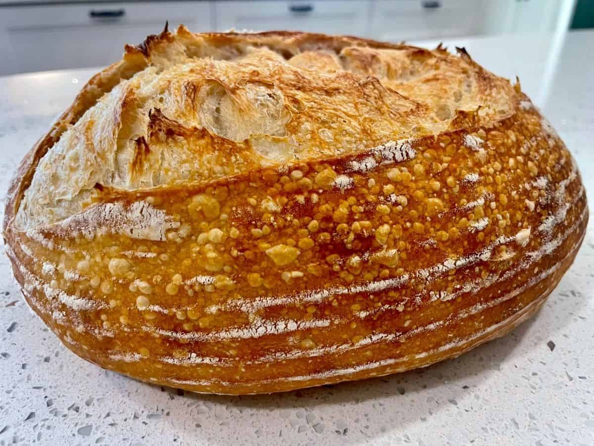 Basic High-Hydration Sourdough Bread - Grant Bakes